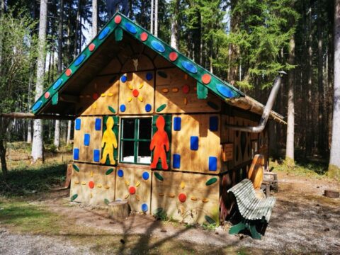 Walderlebnispfad Denklingen: Spaß und Bildung im Wald - Allgäu FamilyGuide